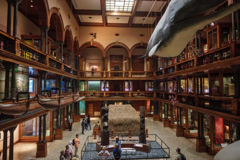 Honolulu: Bishop Museum General Admission Ticket - Key Points