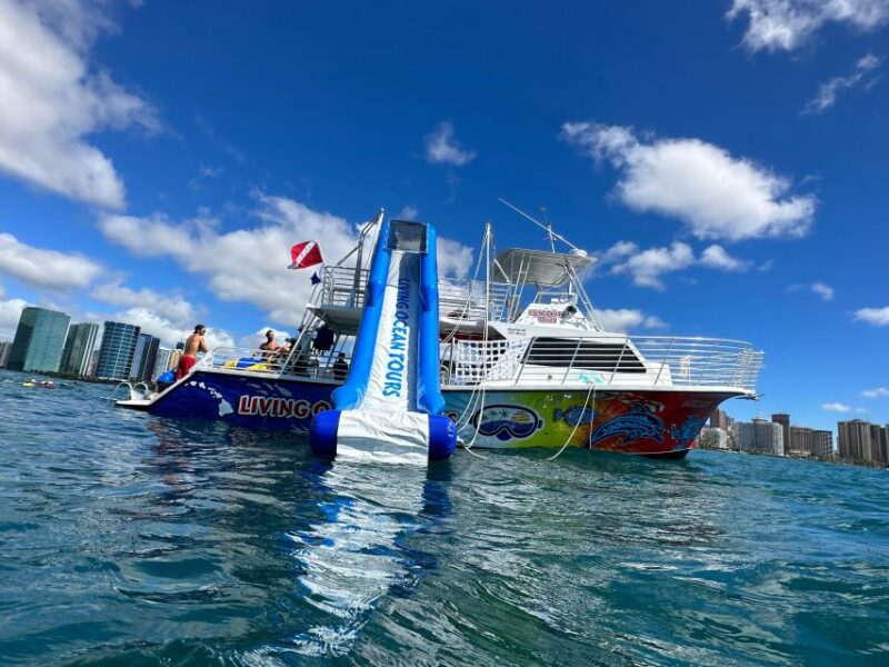 Honolulu: Deluxe Waikiki Snorkel and Wildlife Cruise - The Itinerary: What You’ll Experience