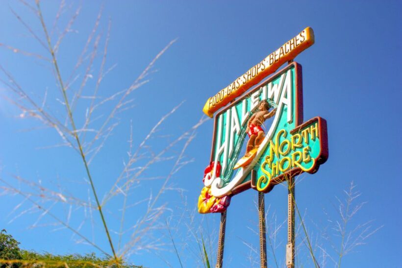 Honolulu: Oahu Island Full-Day Guided Tour by Bus with Lunch - Who Will Love This Tour?