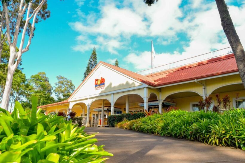 Honolulu: Oahu Island Full-Day Guided Tour by Bus with Lunch - Final Thoughts
