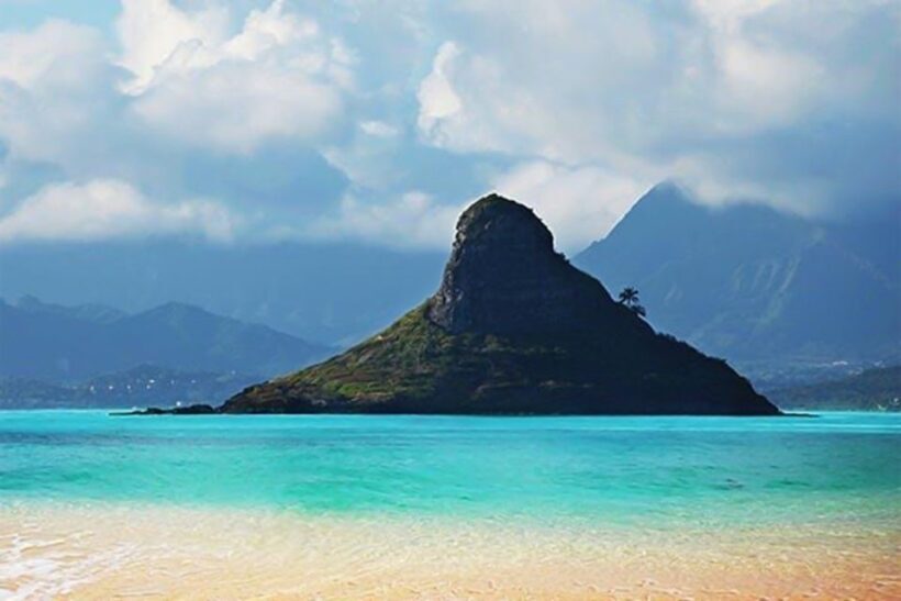 Honolulu: Oahu Island Highlights Tour with Multiple Stops - What’s Included and What’s Not