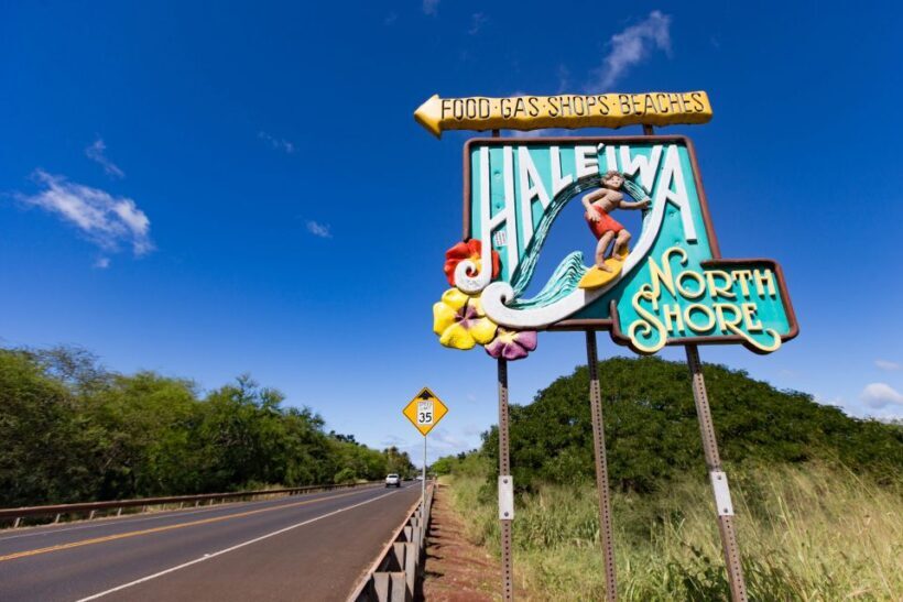 Honolulu: Oahu Sights and Bites Island Tour - Final Thoughts