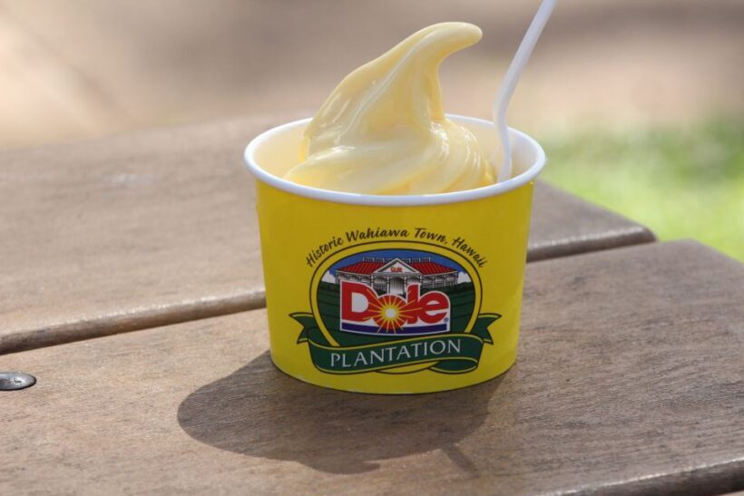Honolulu: Oahu Sights and Bites Island Tour - FAQ