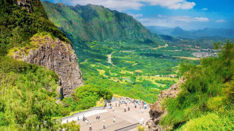 Honolulu: Oahu Sights and Bites Island Tour - Practical Details and Value