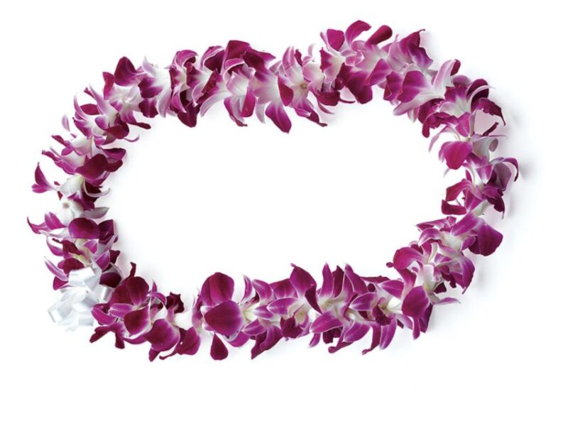 Honolulu: Private Airport Transfer with Arrival Lei Greeting - What to Expect During the Transfer