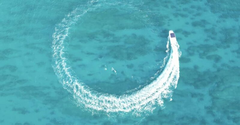 Honolulu: Private Waikiki Boat Cruises for up to 6 People - Water Activities and Marine Life Viewing