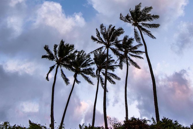 Honolulu Sea-Cliff With Sunset Photo Adventure - Accessibility and Requirements