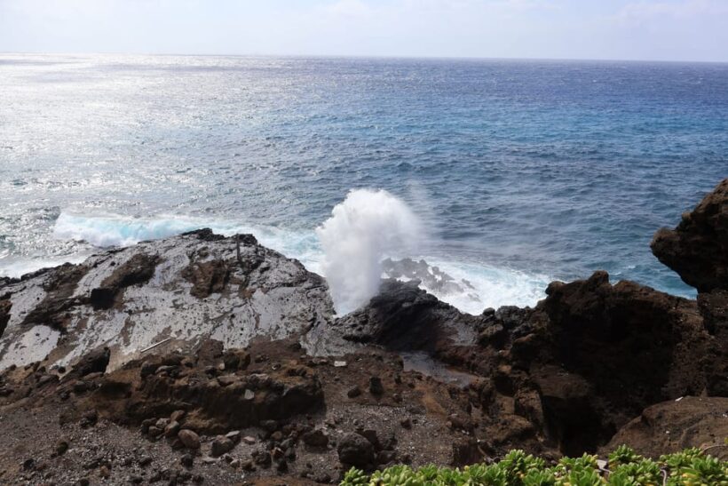 Honolulu: Stunning Views of Oahu! Half-day Scenic Tour - The Guides and Photography