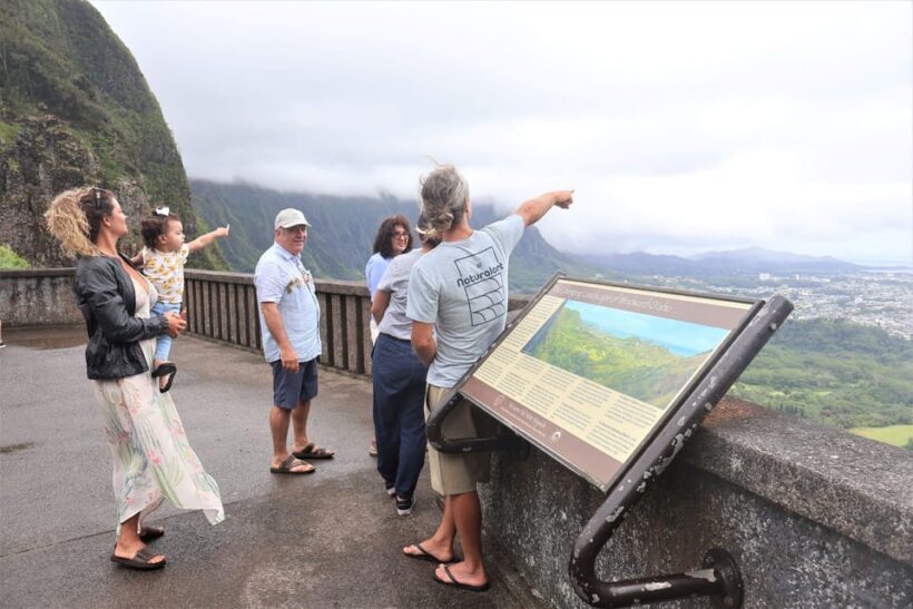 Honolulu: Stunning Views of Oahu! Half-day Scenic Tour - Who Will Love This Tour?