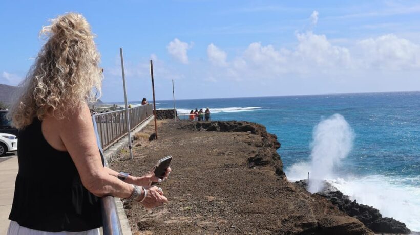 Honolulu: Stunning Views of Oahu! Half-day Scenic Tour - The Sum Up
