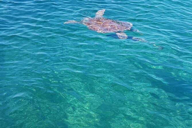 Honor Roll Private Bahamas Boat Charter - Practical Details for Your Trip