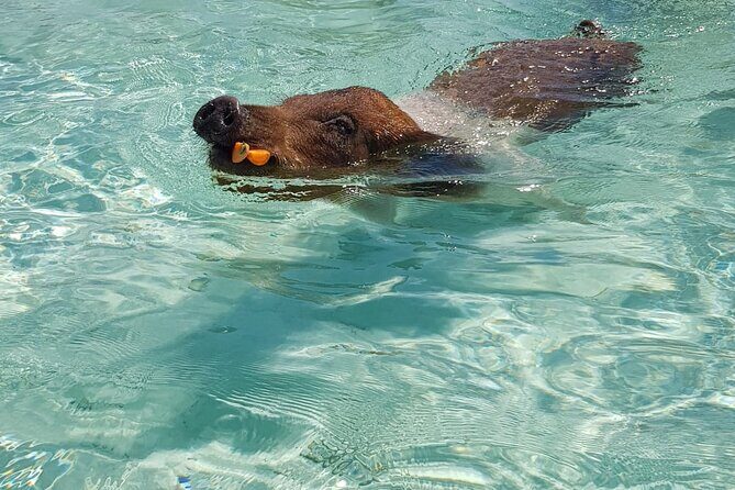 Honor Roll Private Bahamas Boat Charter - FAQ