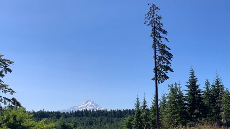 Hood River: All-Day E-Bike Rental - The Sum Up