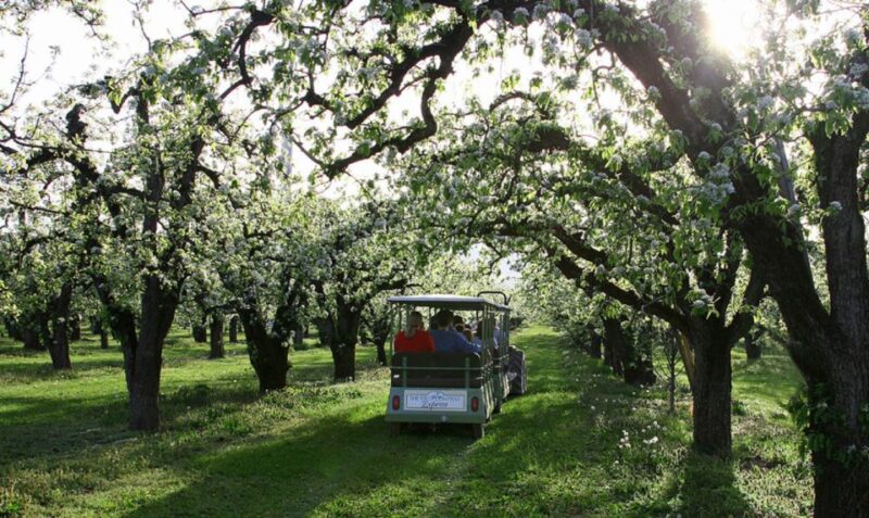 Hood River: Orchard Tour - Final Thoughts
