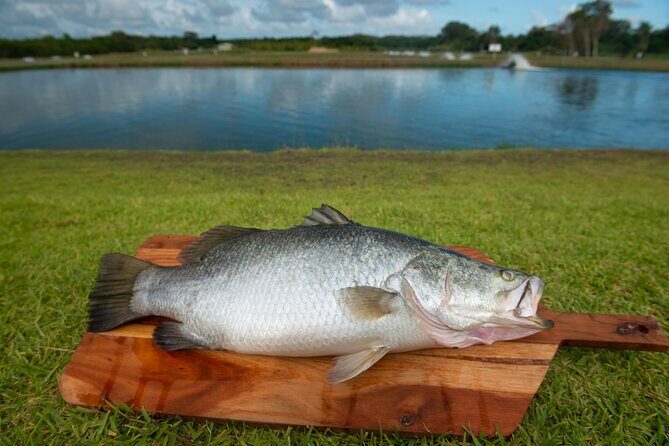 Hook-A-Barra Fishing and Farm Activity - The Sum Up
