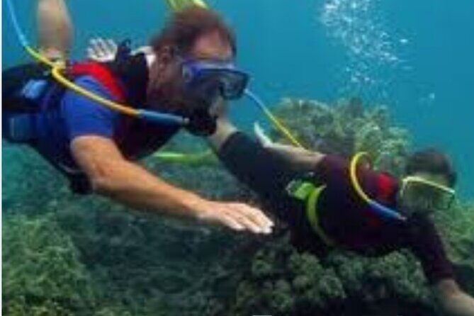 Hookah Diving Adventure in Zihuatanejo - An Introduction to Zihuatanejo’s Hookah Diving Experience