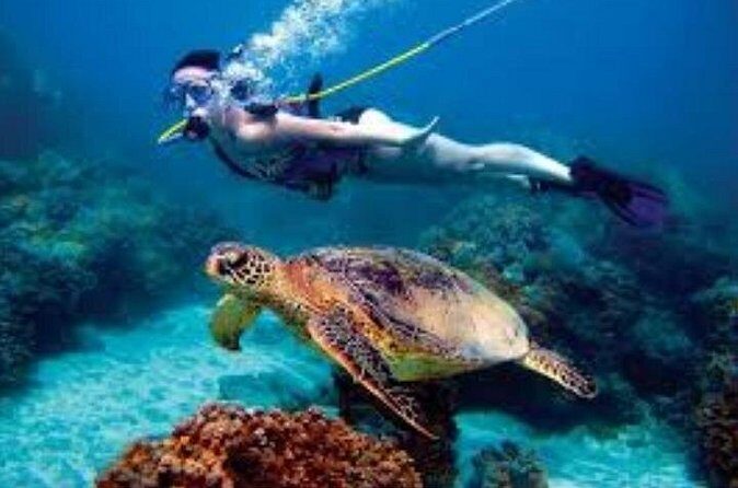 Hookah Diving Adventure in Zihuatanejo - FAQ About the Zihuatanejo Hookah Diving Tour