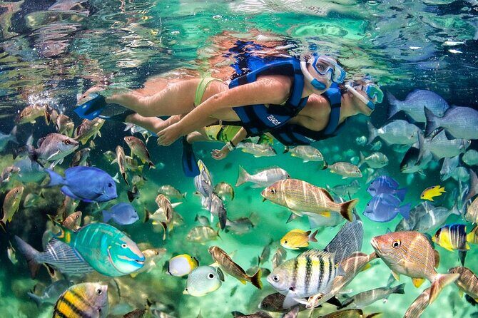 Hookah Diving, Snorkel, Parasail & Party - Bavaro Combo Adventure - FAQs