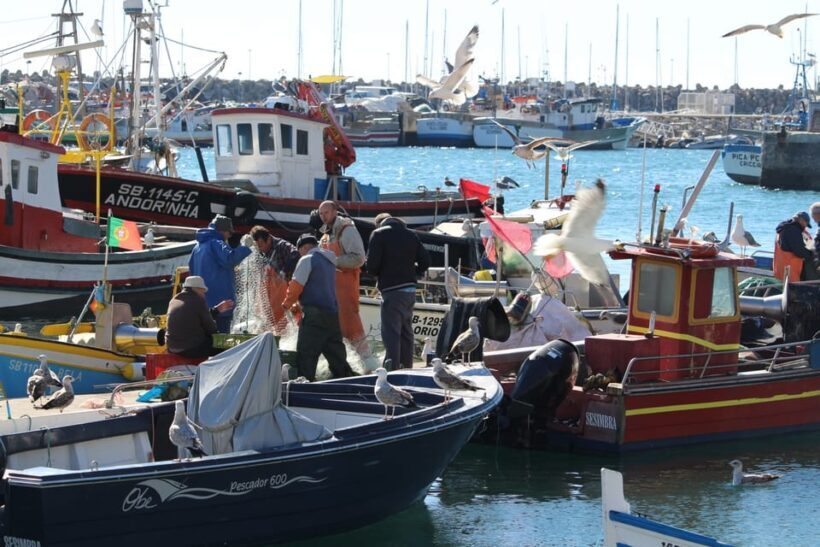 Hooked on Sesimbra - Exploring the Tour Itinerary