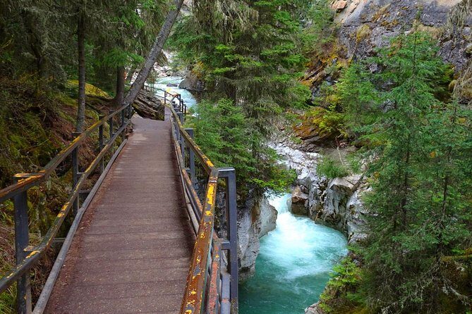 Hop-On and Hop-Off Banff Bus - FAQ