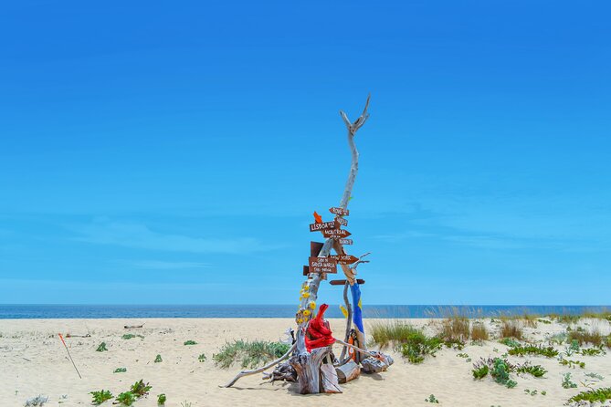 Hop On Hop Off 3 Islands: Deserta, Farol and Culatra - Discovering the Fishermans Port and Island School on Culatra