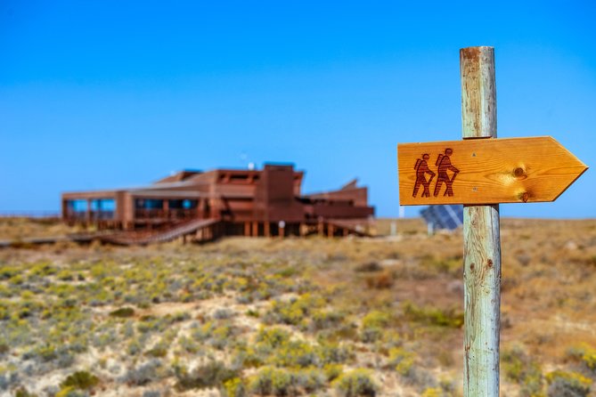 Hop On Hop Off 3 Islands: Deserta, Farol and Culatra - Relaxation and Activity Options on Each Island