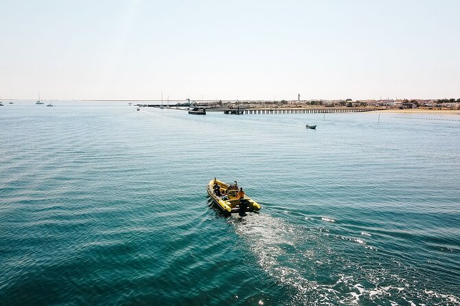 Hop On Hop Off 3 Islands: Deserta, Farol and Culatra - Pricing and Booking Information