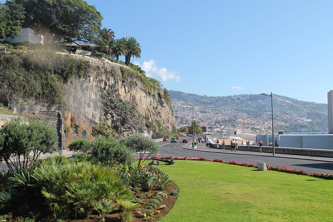 Hop-on Hop-off Bus Tour and Catamaran Whale & Dolphin Watching - Hop-On Hop-Off Bus Schedule