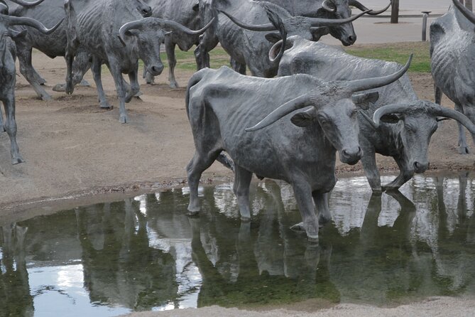 Hop On Hop Off Dallas Tour - Practical Considerations