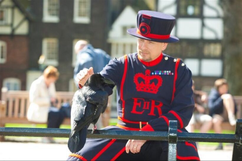 Hop on Hop off London Bus Tour & Tower of London - What Makes This Tour Stand Out