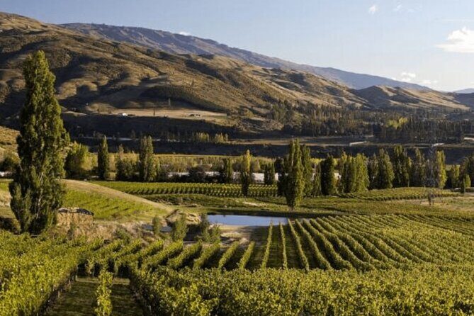 Hop on Hop off Wine Tours Bannockburn - departing Queenstown - An In-Depth Look at the Itinerary and Stops
