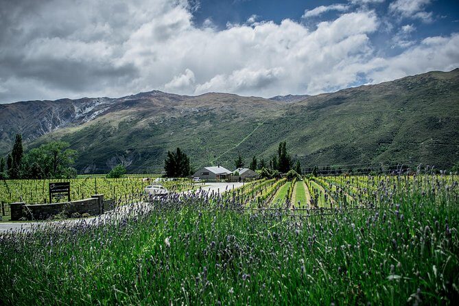 Hop on Hop off Wine Tours Queenstown - Who is This Tour Best For?