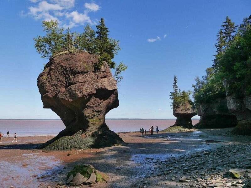 Hopewell Cape: Hopewell Rocks Admission - An In-Depth Look at Hopewell Rocks