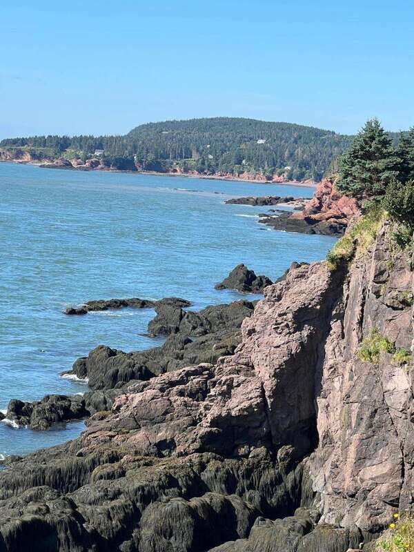 Hopewell Rocks and Fundy National Park Private Tour - Who Is This Tour Best For?