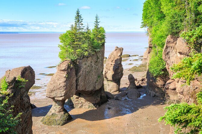 Hopewell Rocks Bay of Fundy Tour - A Full Breakdown of the Itinerary