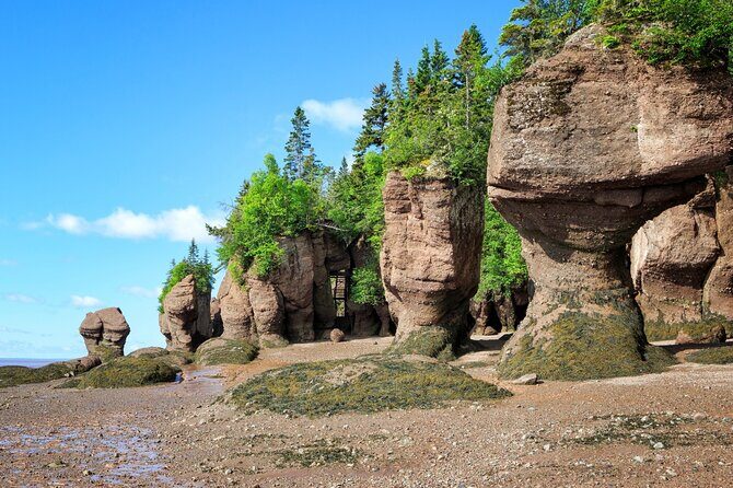 Hopewell Rocks Bay of Fundy Tour - Final Thoughts on Value and Experience
