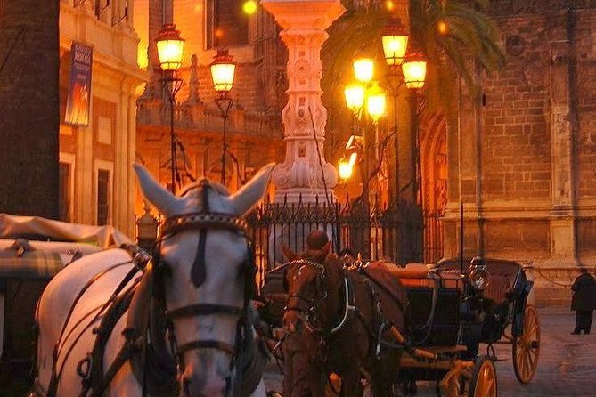 Horse and Buggy Ride in Seville with guide - Who Will Love This Experience?