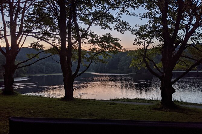 Horse and Carriage Ride through Moses H. Cone Park - Key Points