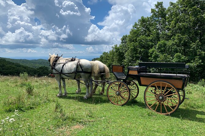 Horse and Carriage Ride through Moses H. Cone Park - FAQ