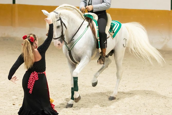 Horse and Flamenco Show in Malaga - Recommendations for Visitors