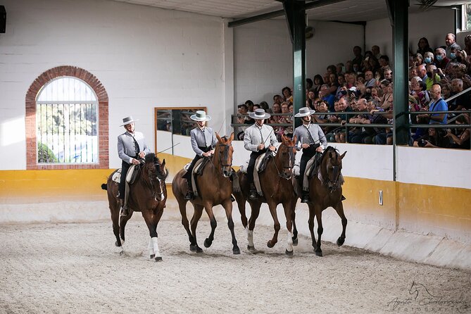 Horse and Flamenco Show in Malaga With Dinner - Included Amenities