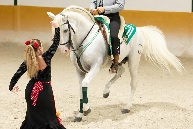 Horse and Flamenco Show in Malaga With Dinner - Dinner and Drinks Menu