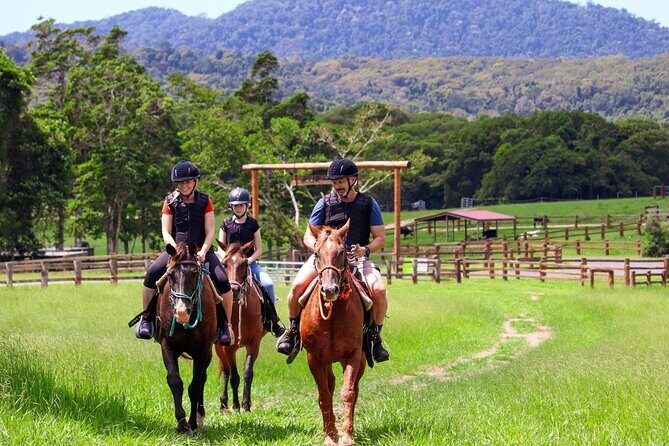 Horse and Quad bike tour with a visit to a Petting Zoo - Review of the Horse and Quad Bike Tour with a Visit to a Petting Zoo