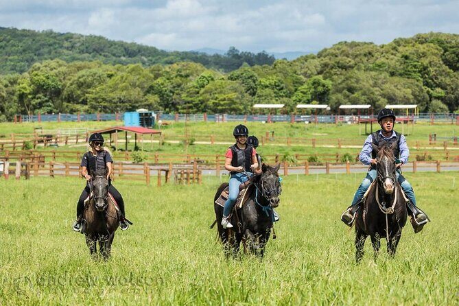 Horse and Quad bike tour with a visit to a Petting Zoo - The Sum Up