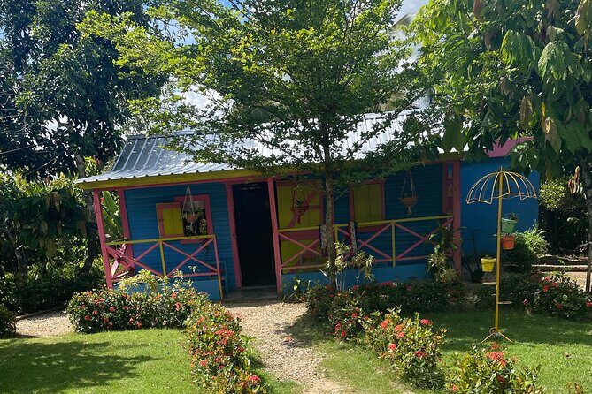 Horse Back Riding Adventure in Punta Cana - A Detailed Look at the Horseback Riding Tour