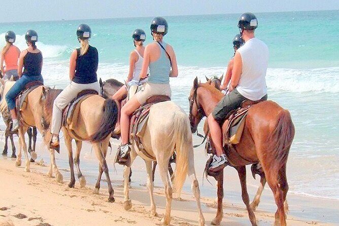 Horse Back Riding Adventure in Punta Cana - What the Reviews Say
