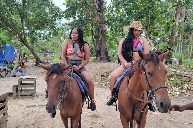 Horse Back Riding, Dunn's River and Blue Hole - The Value Proposition