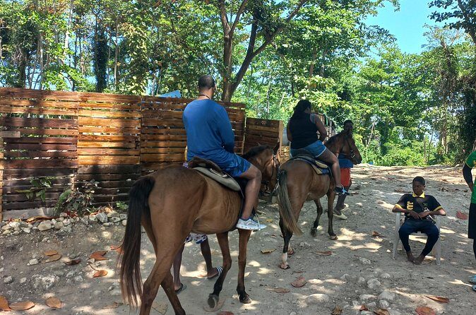 Horse Back Riding in Ocho Rios - Price and Value