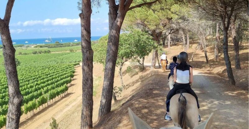 Horse back riding + wine tasting in Ramatuelle - The Experience in Detail