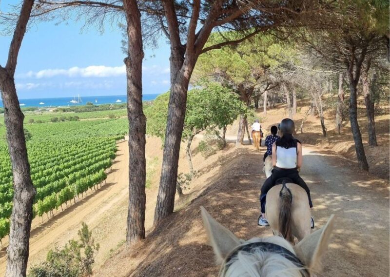Horse back riding + wine tasting in Ramatuelle - Why This Experience Works
